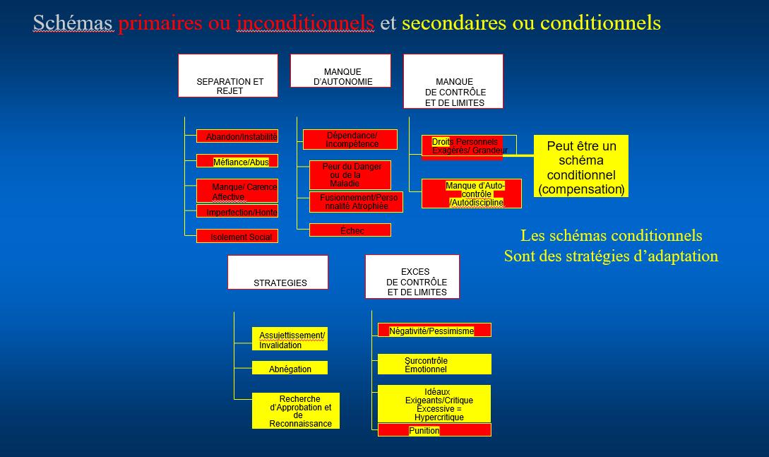 THERAPIE DES SCHÉMAS – Kim-Vân Nguyen-Dinh psychothérapeute Paris 11e 13e